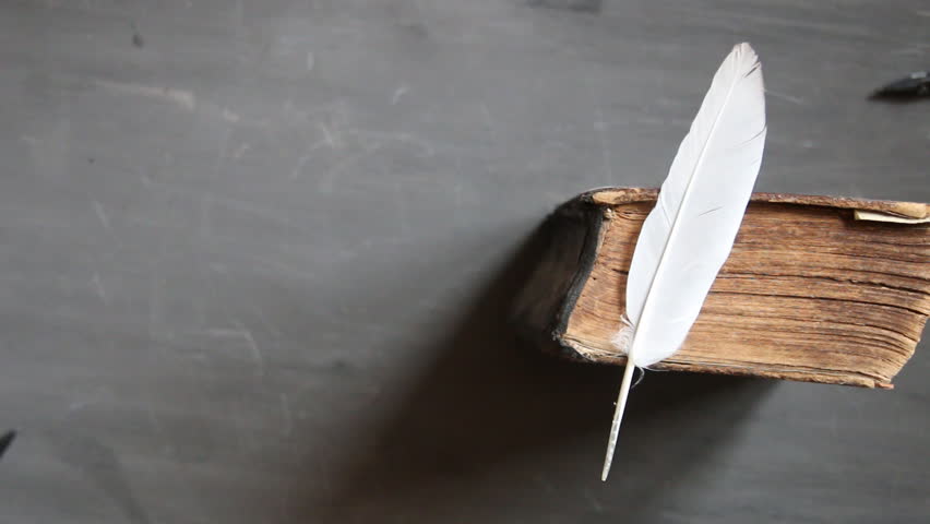 Contact | Gabrielle Bauer